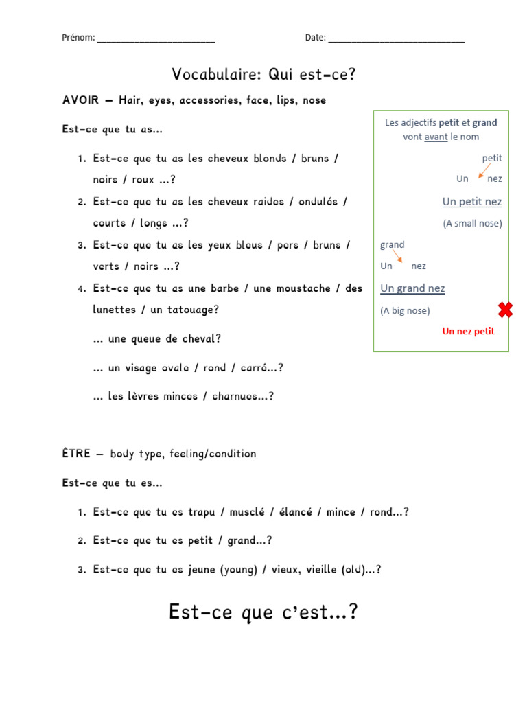 Vocabulaire - Guess Who | PDF