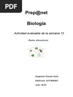 Actividad Evaluable Semana 1 Física | PDF | Nanotecnología | Superconductividad