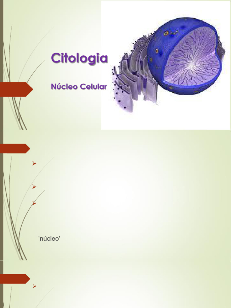 Nucleo Celular | PDF