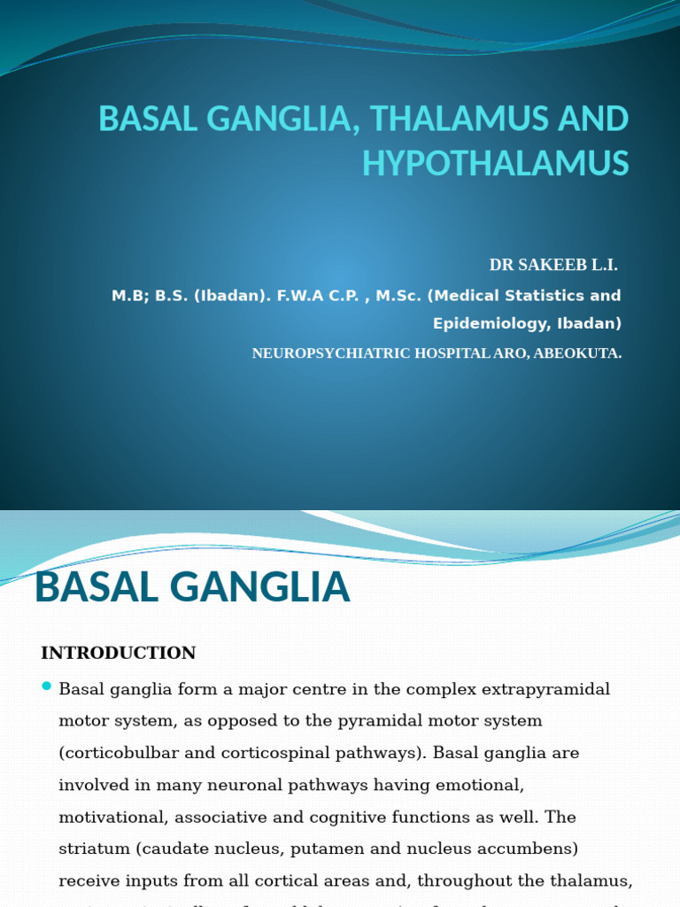 Basal Ganglia, Thalamus and Hypothalamus | PDF