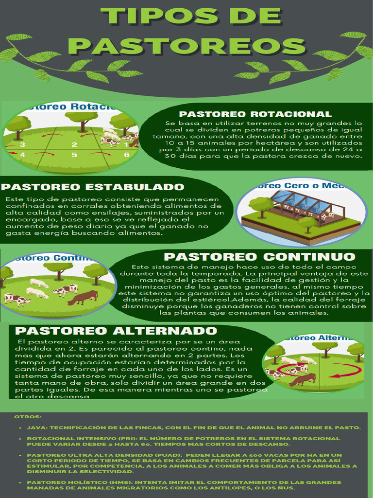 TIPOS DE PASTOREO | PDF