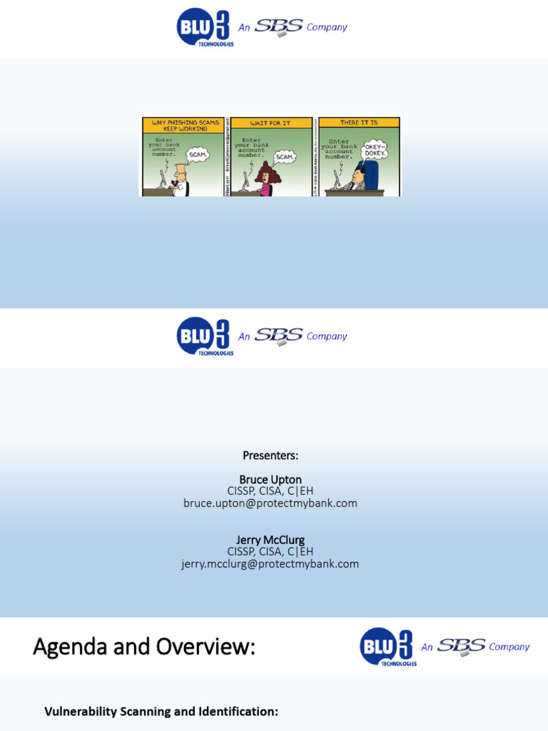 Vul Assess Video | PDF