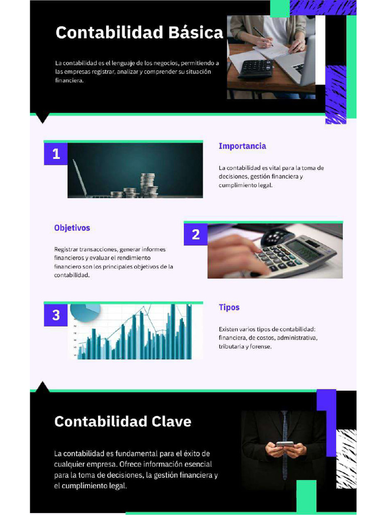 Infografia de La Contabilidad | PDF