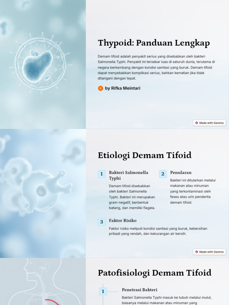 Thypoid Panduan Lengkap | PDF