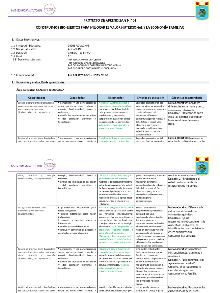 Proyecto de Aprendizaje 1° | PDF