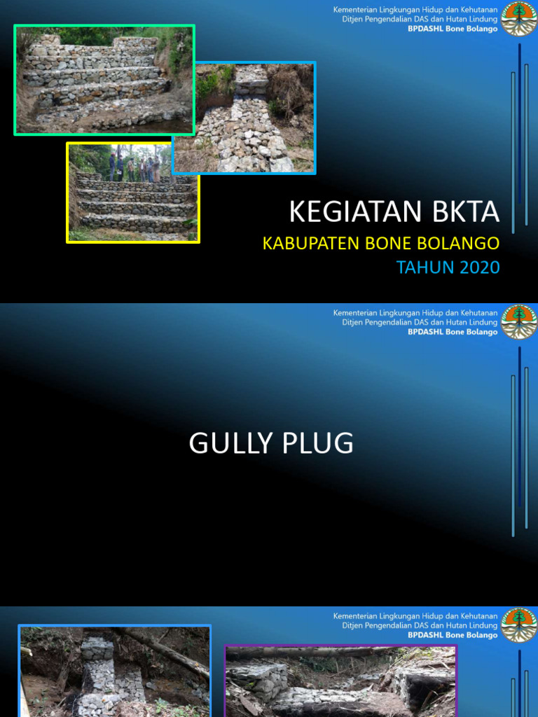 Bkta Gully Plug | PDF