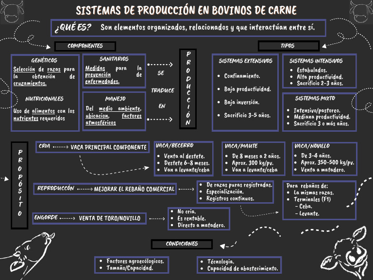 Mapa Bovinos de Carne | PDF