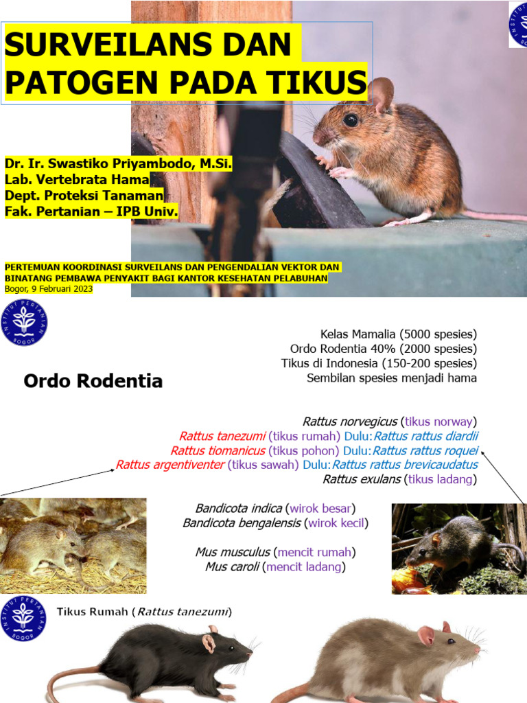 SWASTIKO IPB SURVEILANS Dan PATOGEN TIKUS | PDF