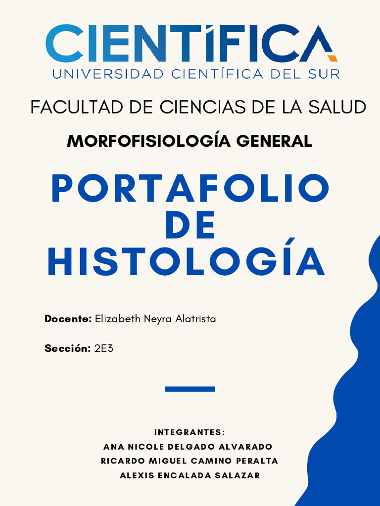 Portafolio de Histología | PDF