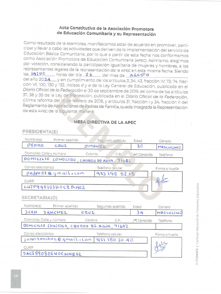 Ejemplo Acta Constitutiva 2024-2025 (Requisitado) | PDF