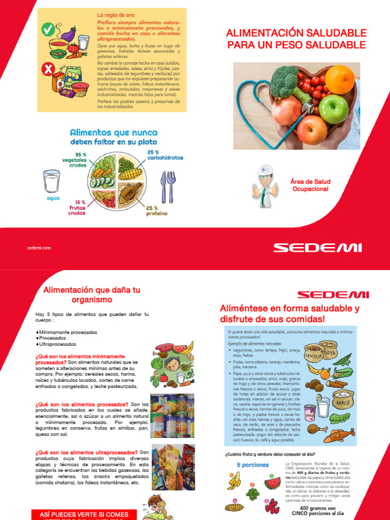 Alimentación Saludable para Un Peso Saludable | PDF