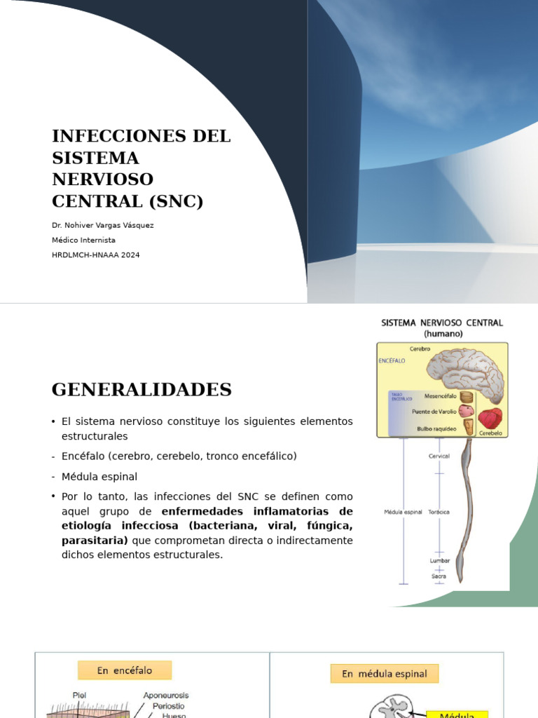 Infecciones Del Sistema Nervioso Central (SNC) | PDF