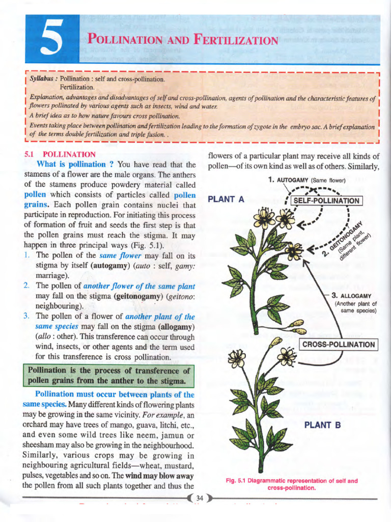 Icse Class 9 Biology Chapter 5 Pollination and Fertilization | PDF