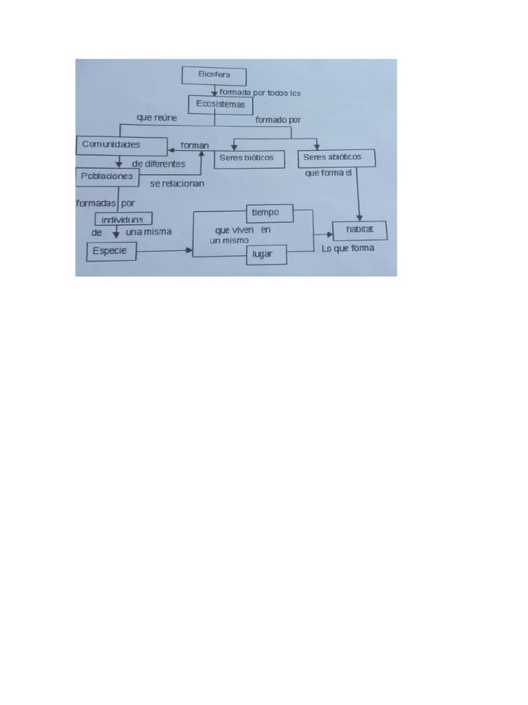 esquema de ciencia | PDF