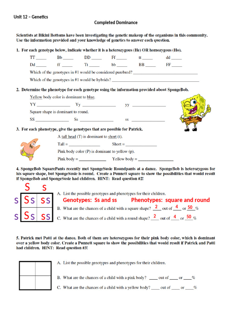 Complete Dominance Practice | PDF