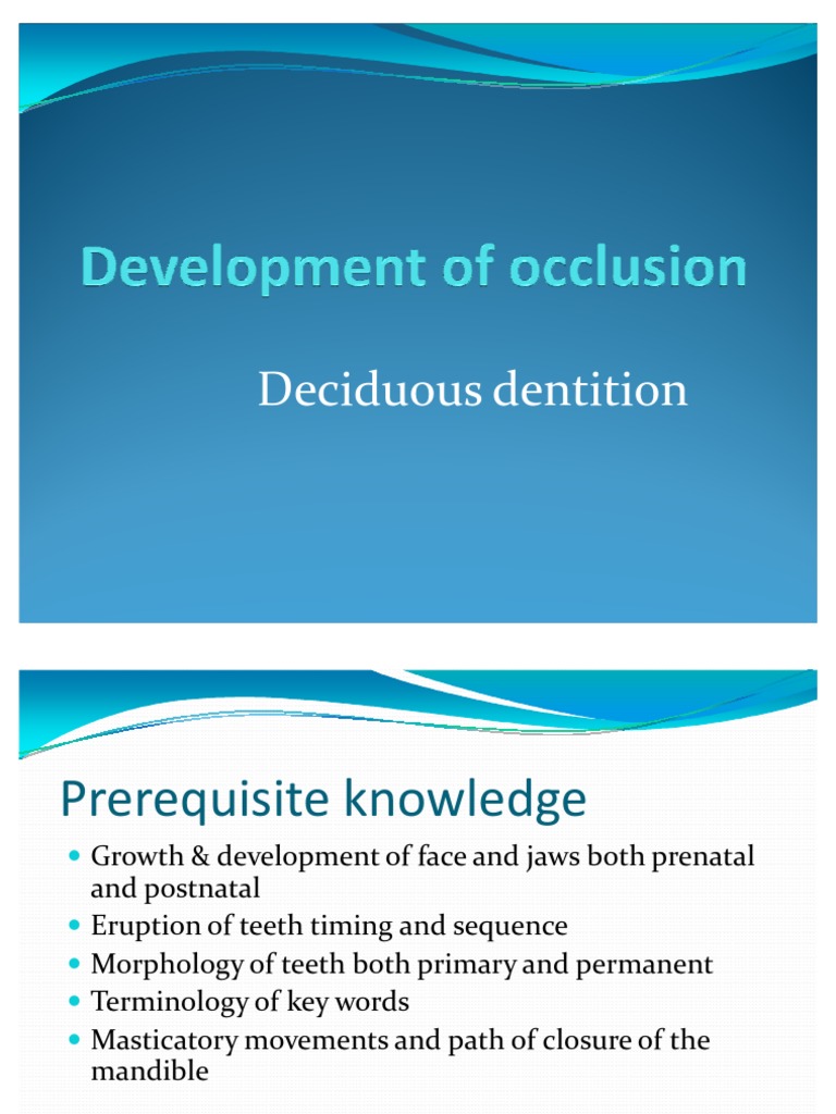Development of Occlusion | PDF