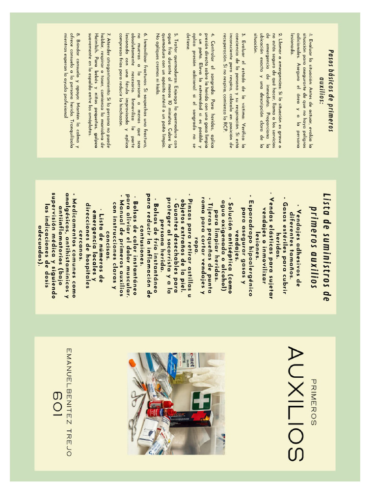 Triptico | PDF
