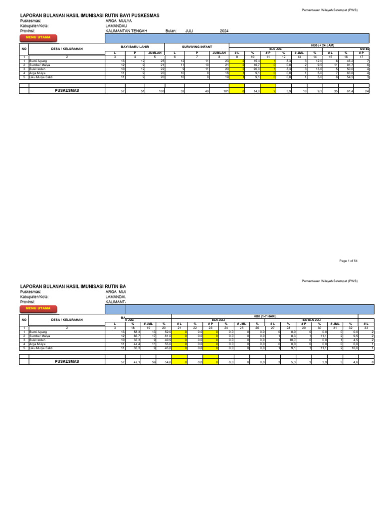 LAPORAN IMUNISASI PWS PUSKESMAS 2024 | PDF