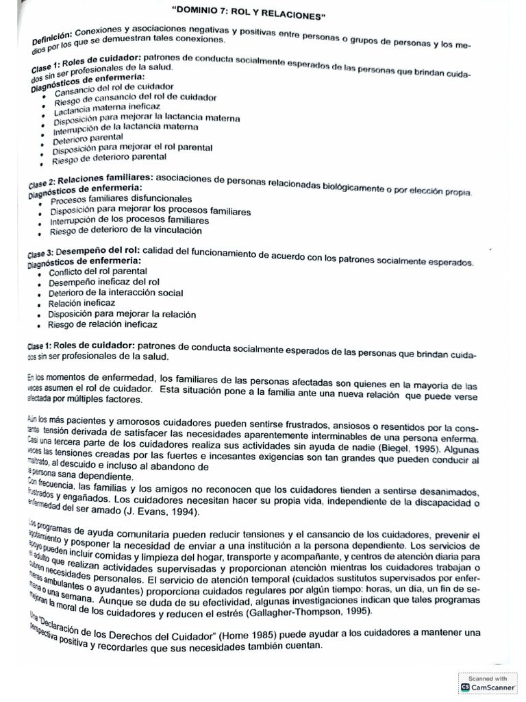 Dominio 7. Rol y Relaciones | PDF