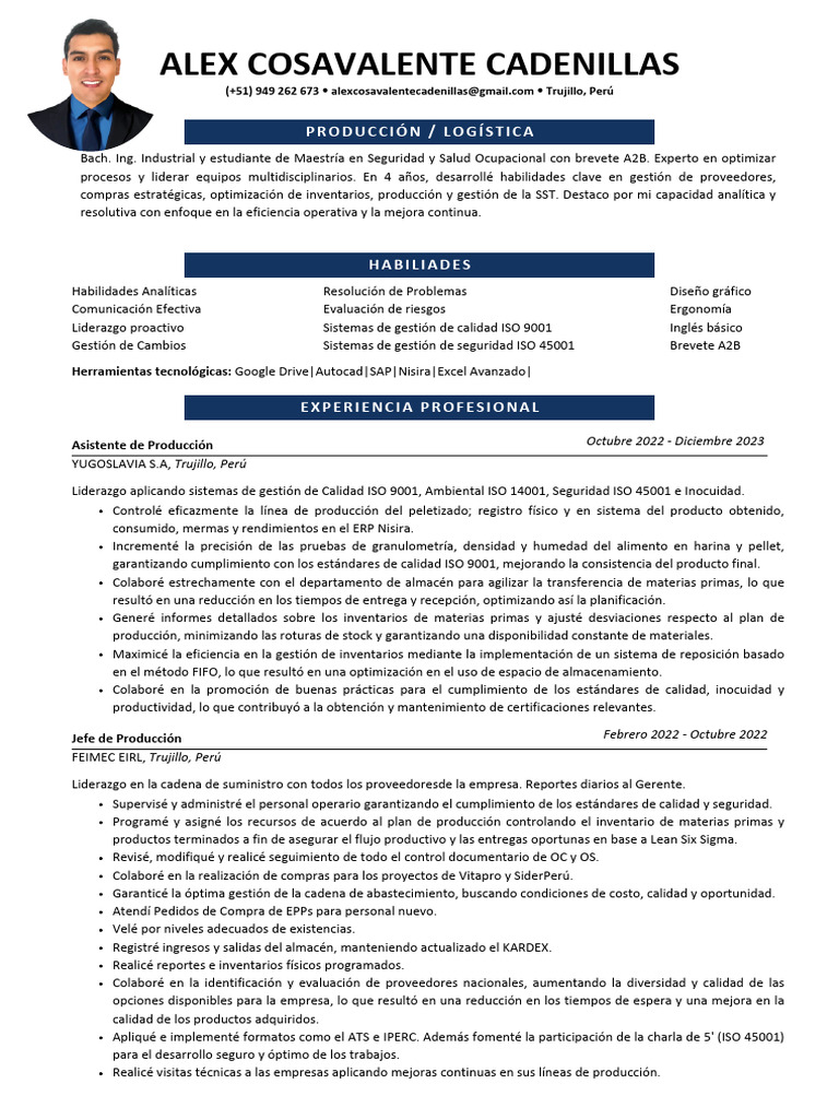 CV Alex Cosavalente | PDF