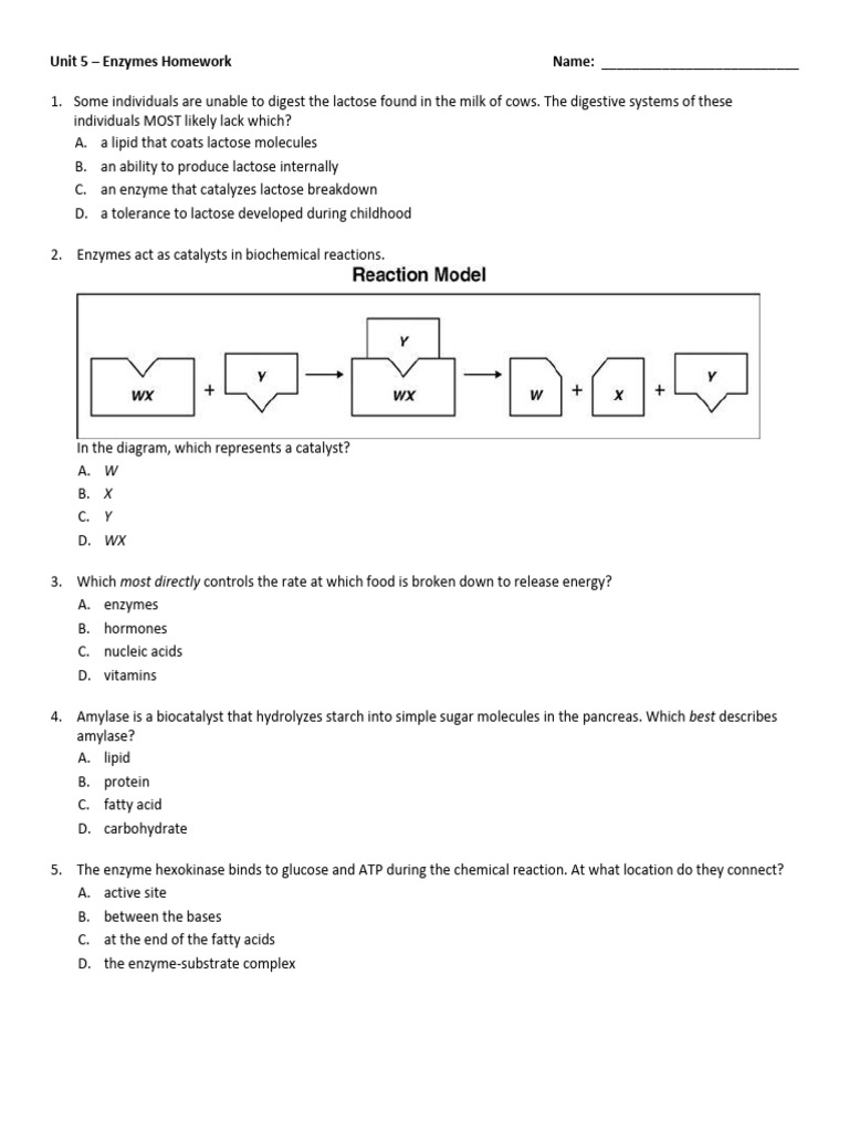 Unti 5 Homework 1 | PDF