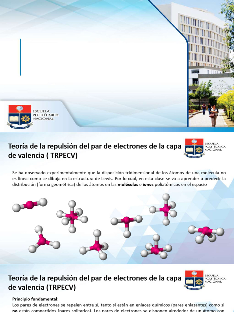 Clase 26 - TRPECV y Polaridad | PDF