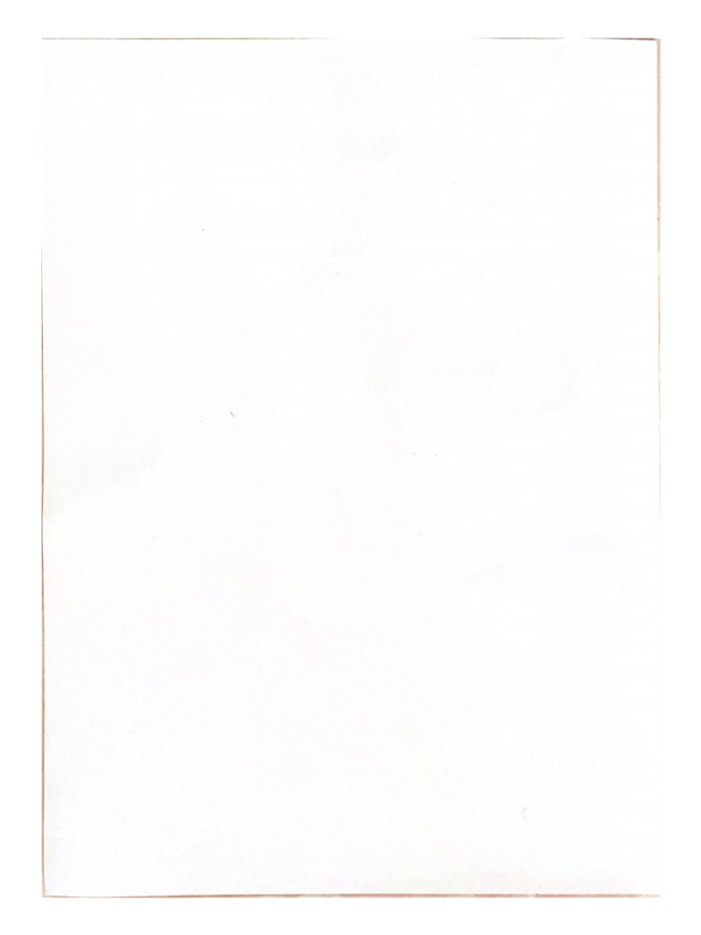 Documentos Escaneados | PDF