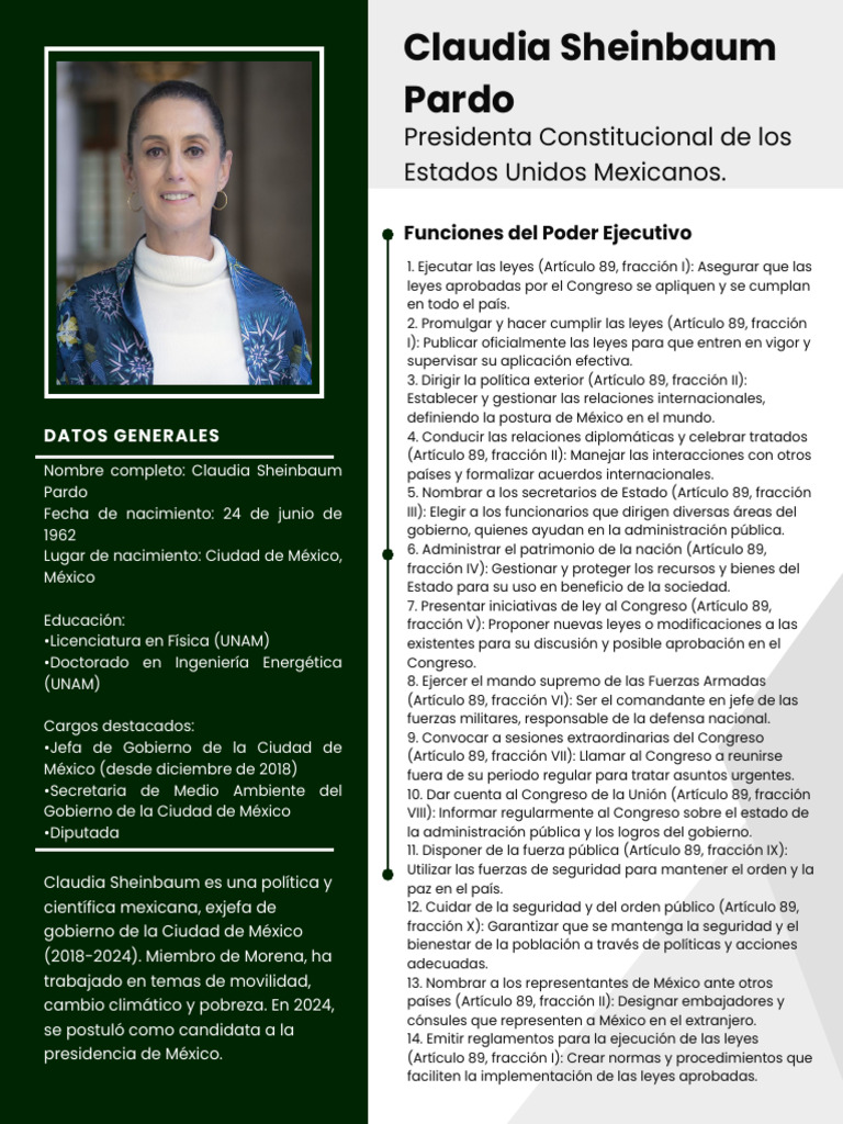 Poderes 20240924 121856 0000 | PDF