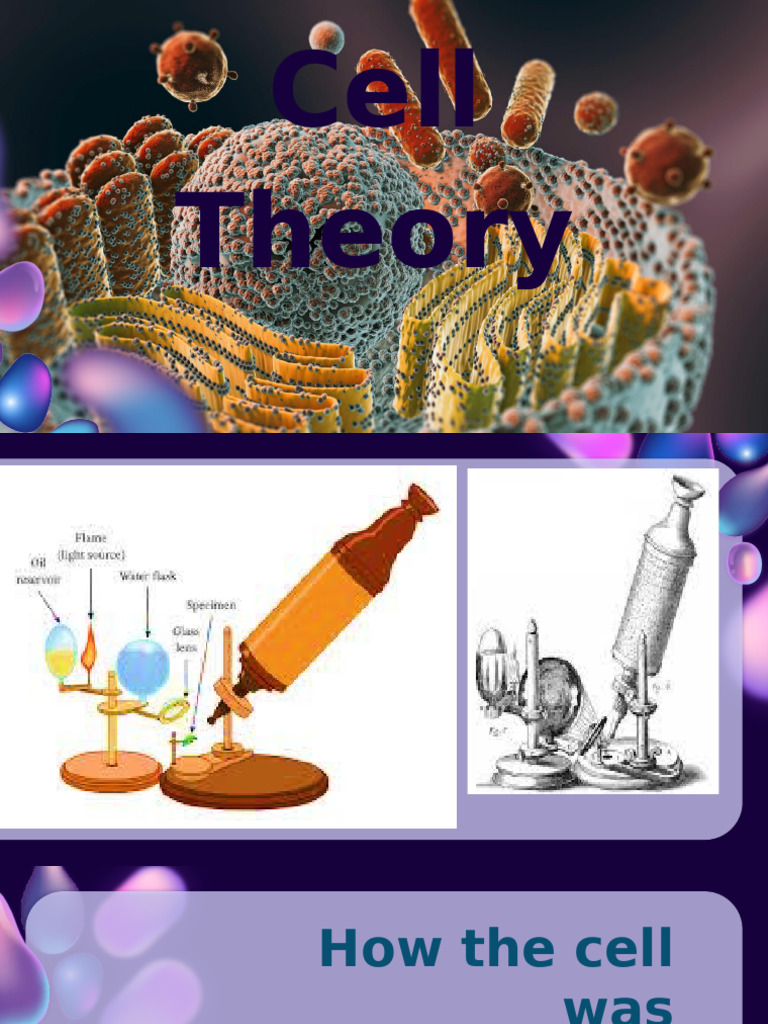 Cell Theory | PDF