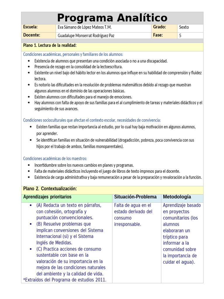 Ejemplo Programa Analítico | PDF