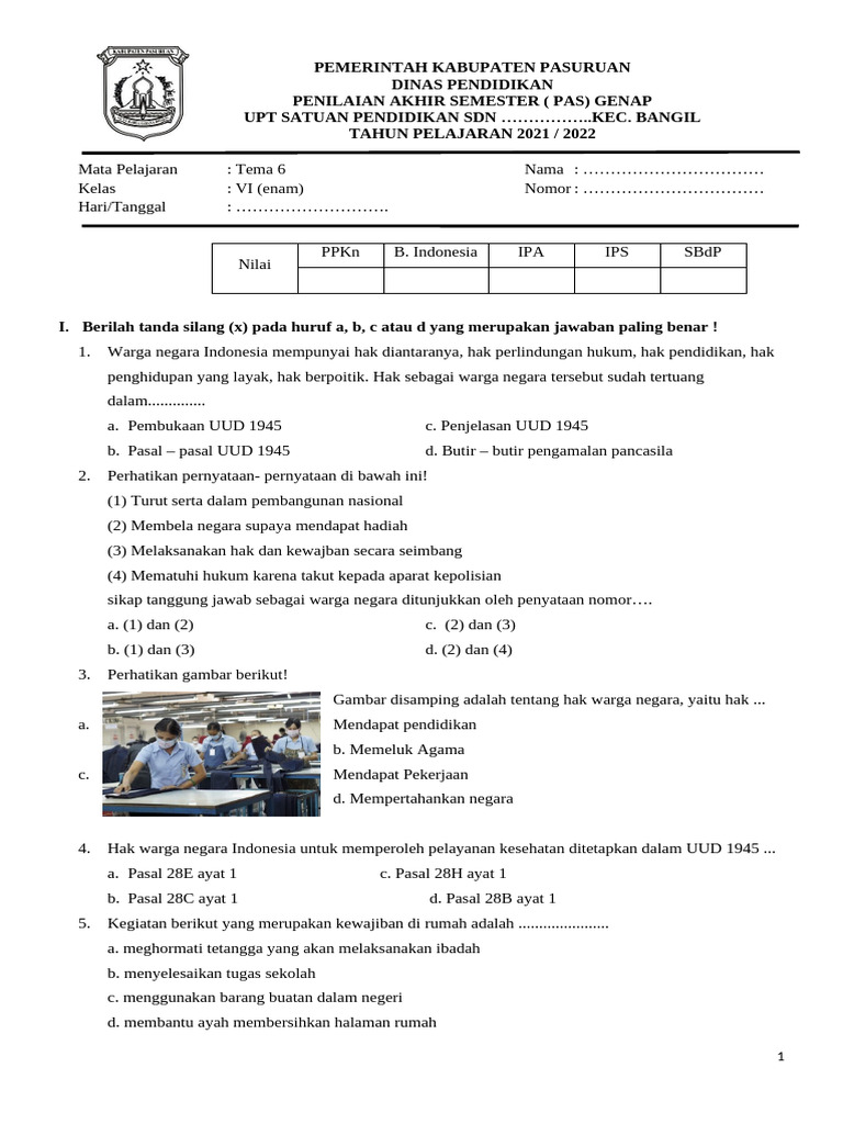 PAT - Tema 6 Kelas 6 | PDF