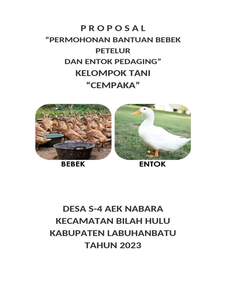 PROPOSAL BEBEK | PDF