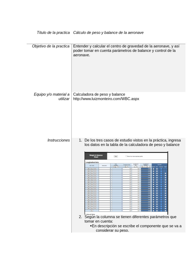 Practica 3 Peso y Balance | PDF