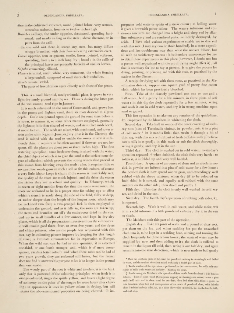 Chay-Root DyeProcess | PDF