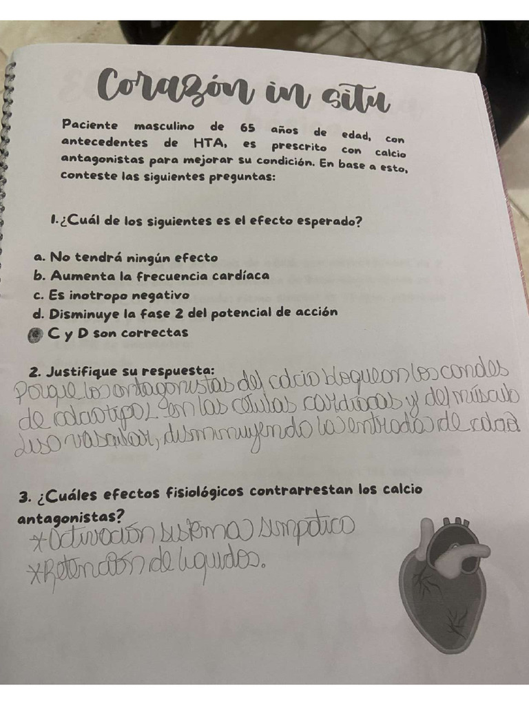 Corazon in Situ | PDF