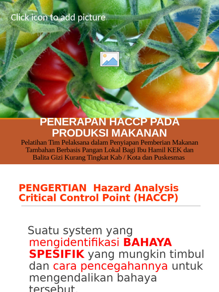 MATERI Haccp | PDF