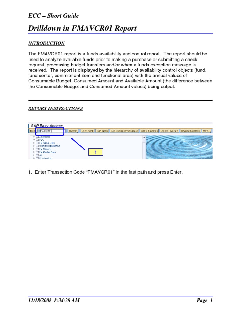 FMAVCR01 Report Drilldown Guide | PDF | Error Detection And Correction ...
