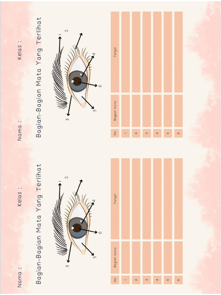 LKPD Ipas Mata 5 | PDF