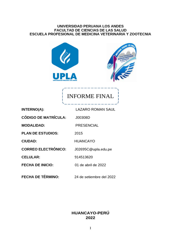 Informe Final Internado - Lazaro Roman Saul | PDF