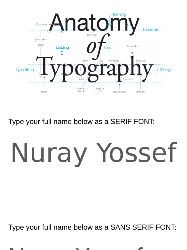 Typography Anatomy | PDF