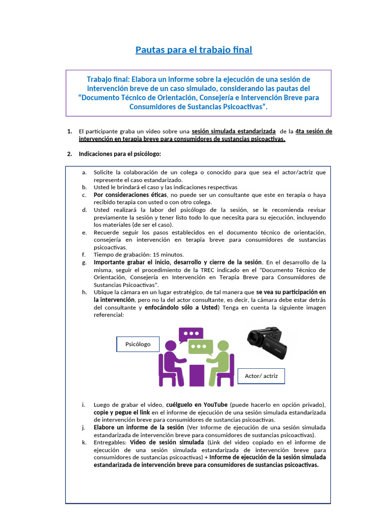 Pautas para El Trabajo Final 2024 | PDF