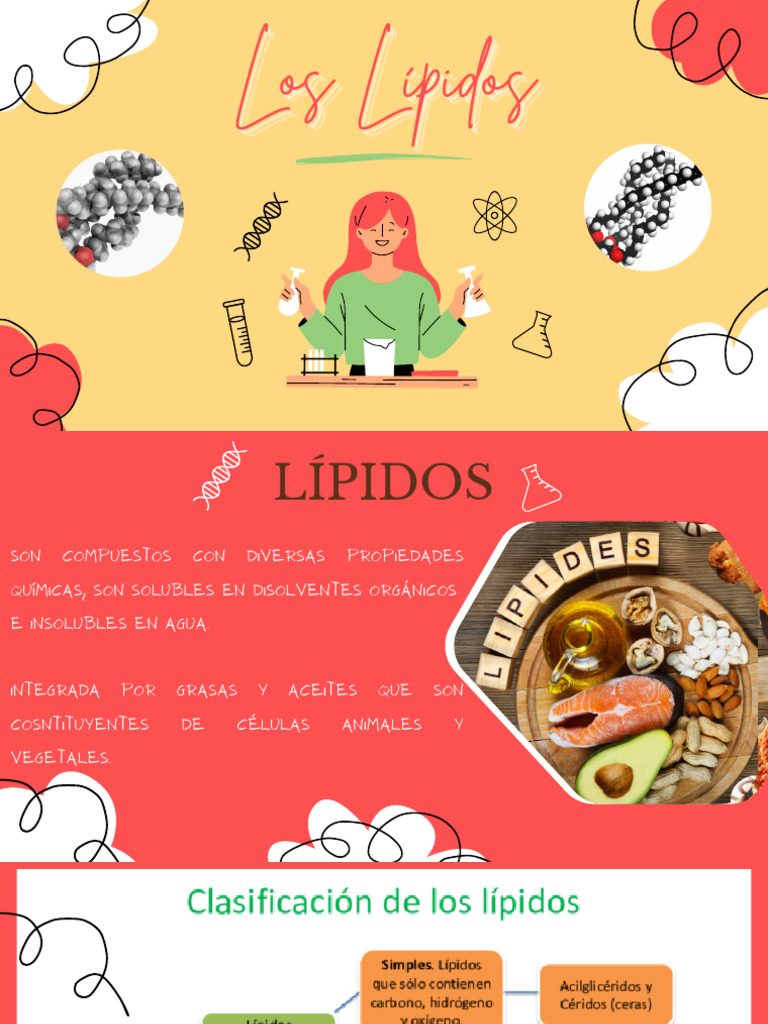 Lípidos | PDF