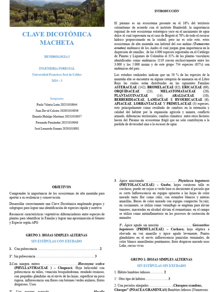 Clave Dicotómica Macheta | PDF