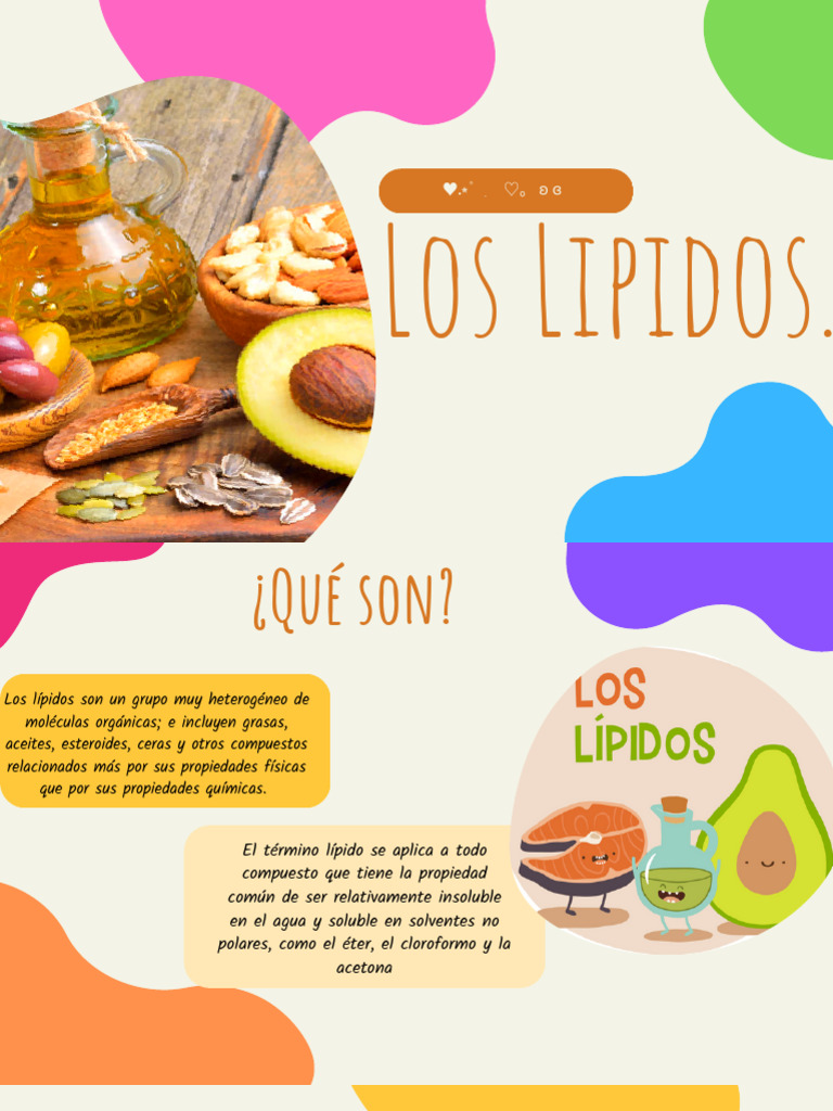Los Lipidos | PDF
