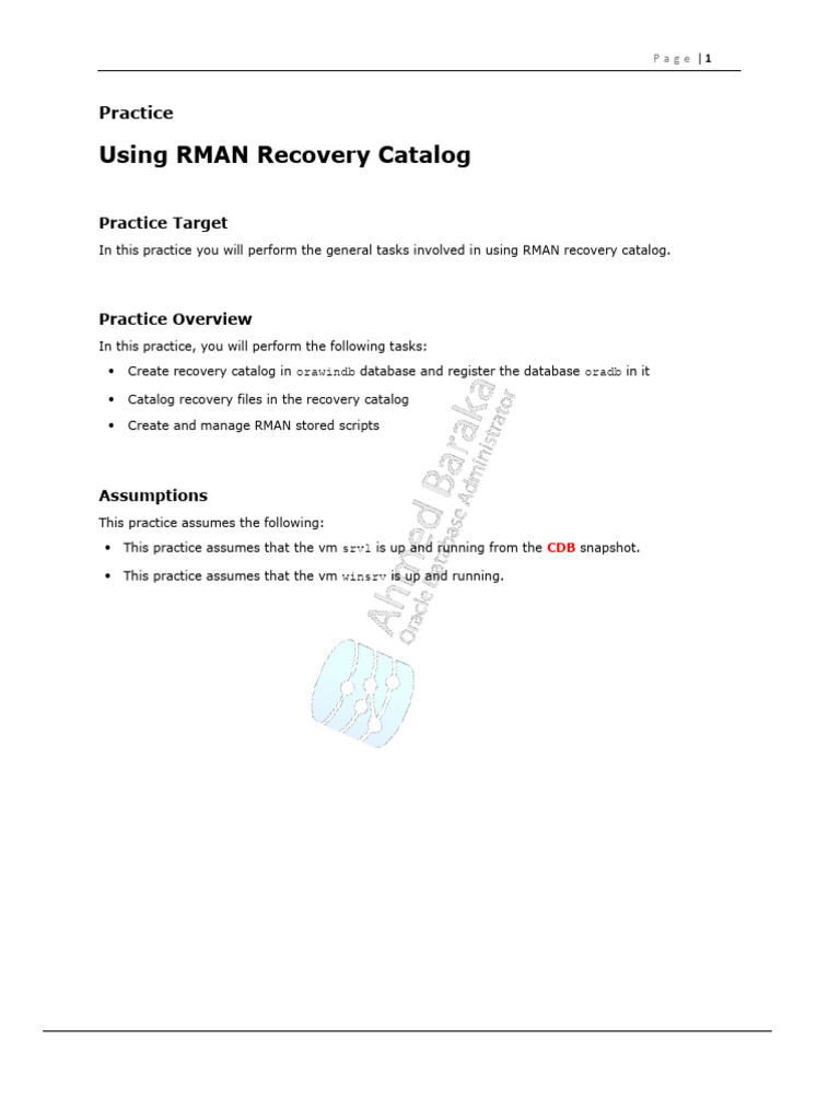 Practice - Using RMAN Recovery Catalog | PDF