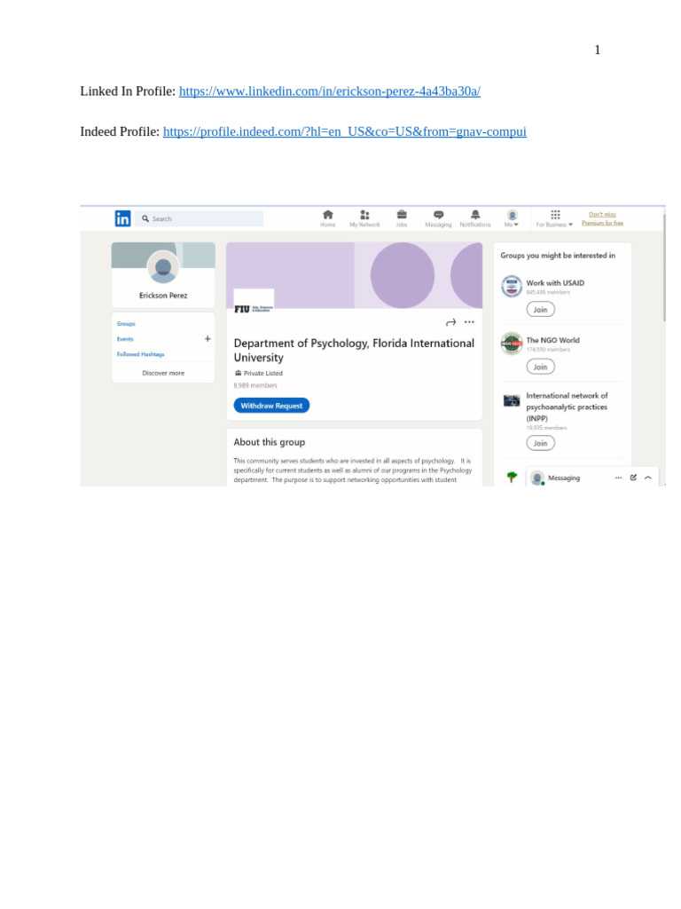 Professional Development Assignment 1 (Networking) | PDF