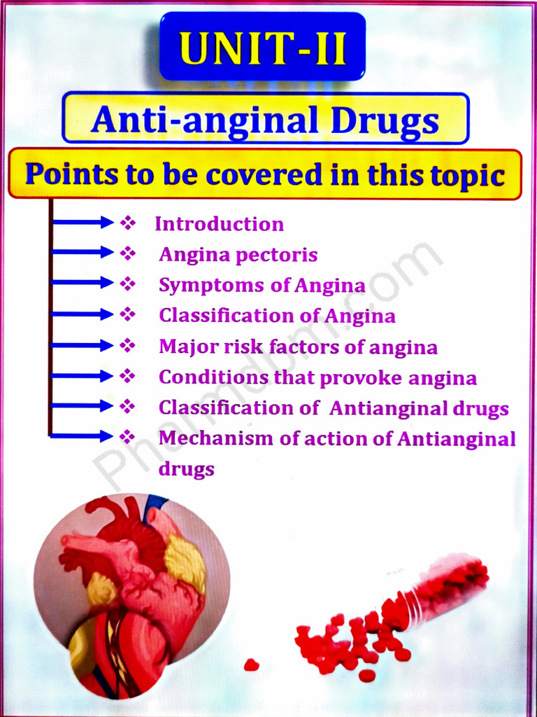 Anti Anginal | PDF