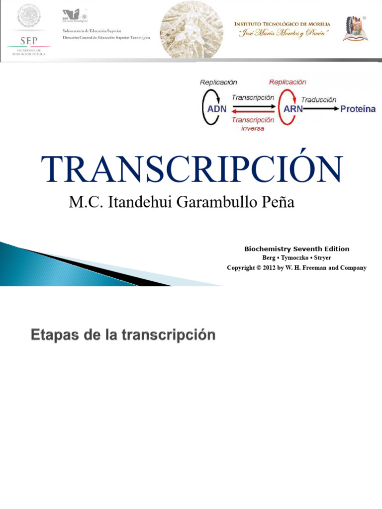 U5. Transcripción | PDF