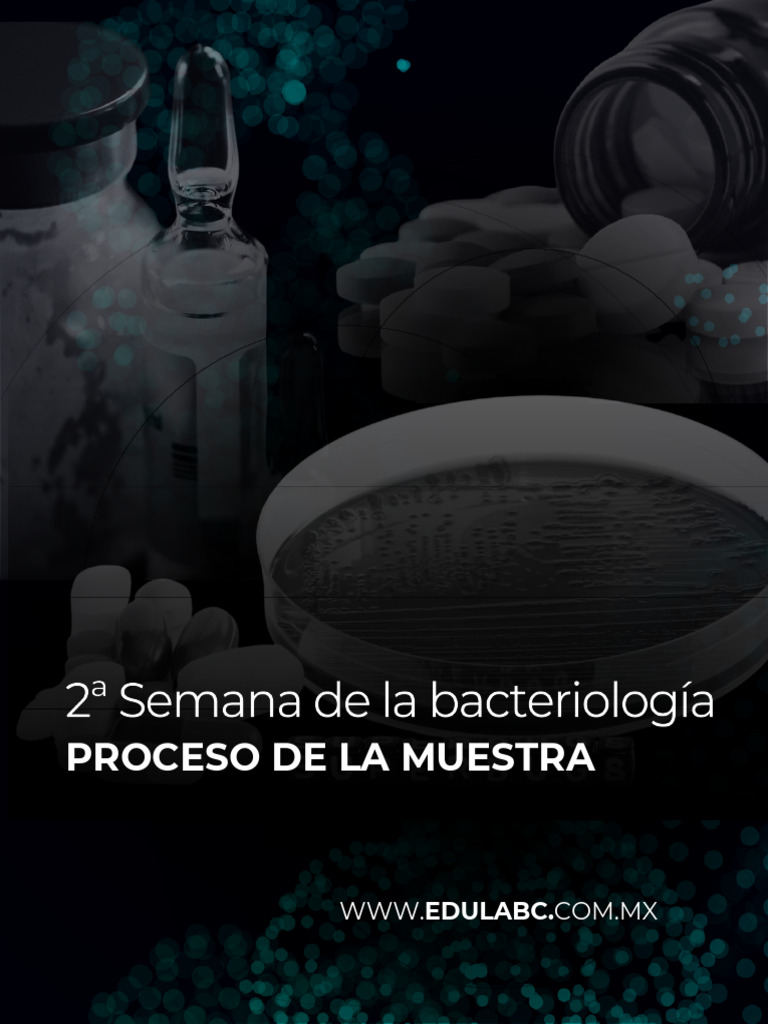 Tempfile 1728076862299 | PDF