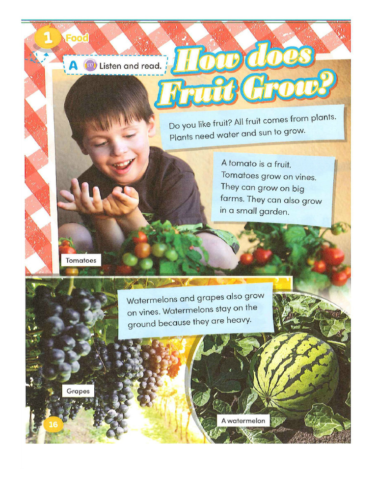 Kids Level 2 Meetings 2 Extra | PDF